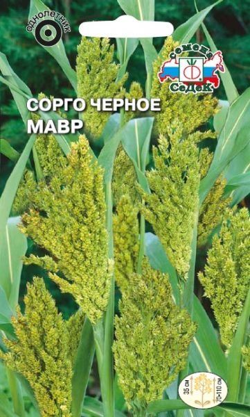Сорго Мавр черное купить в Москве в интернет-магазине Семена цветов