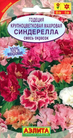 Годеция крупноцветковая махровая Синдерелла, смесь