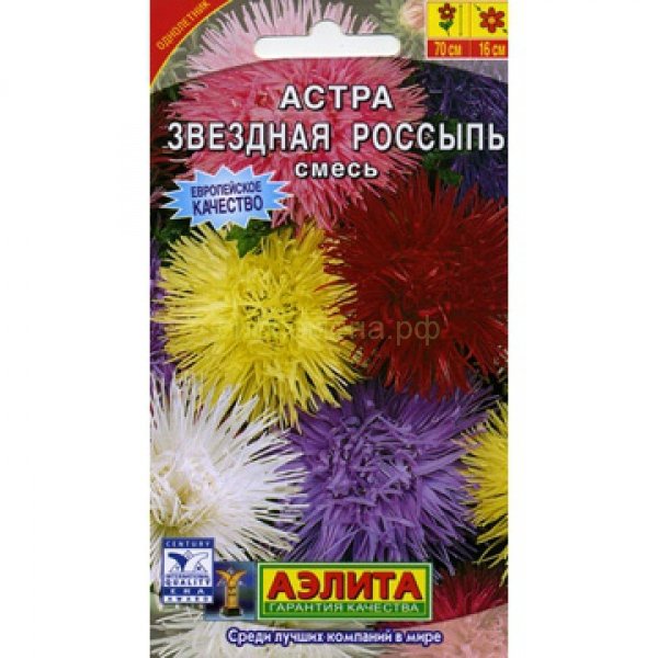 Астра китайская Звездная россыпь, смесь