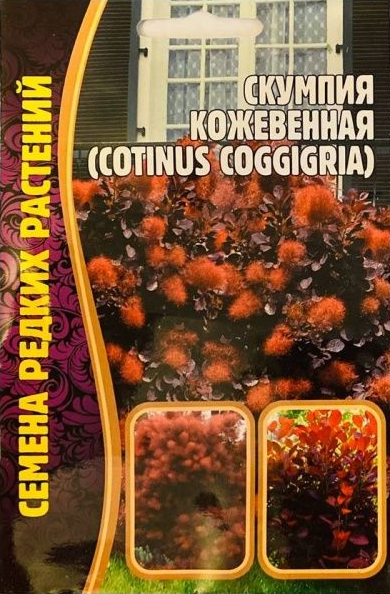 Скумпия Кожевенная купить в Москве в интернет-магазине Семена цветов